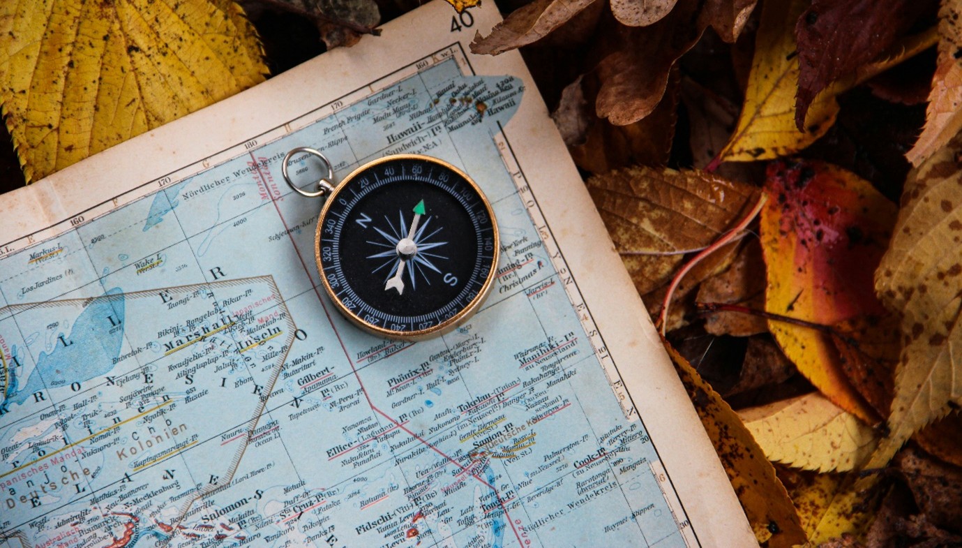 Competitiveness Compass - Visa Plan